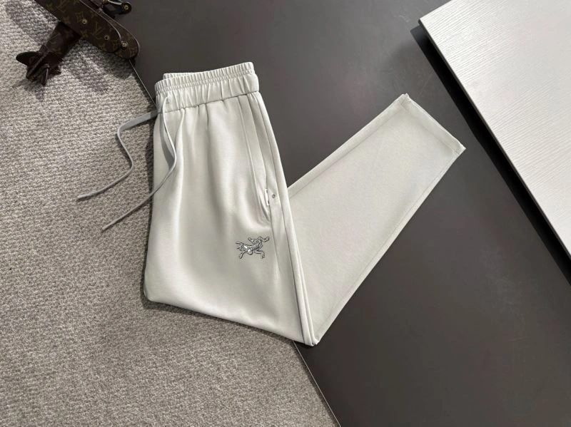 Inexpensive Arcteryx Long Pants