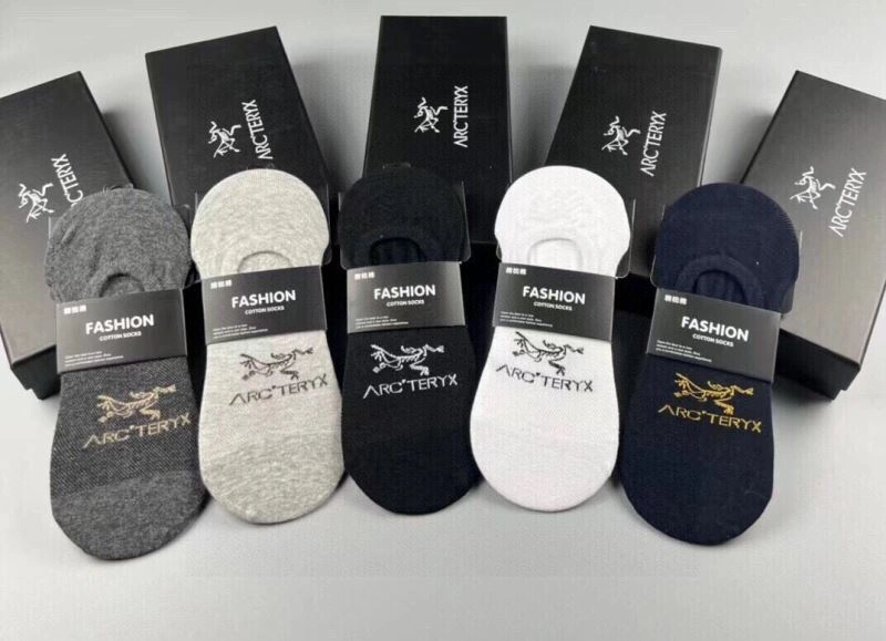 Accurate model Arcteryx Socks