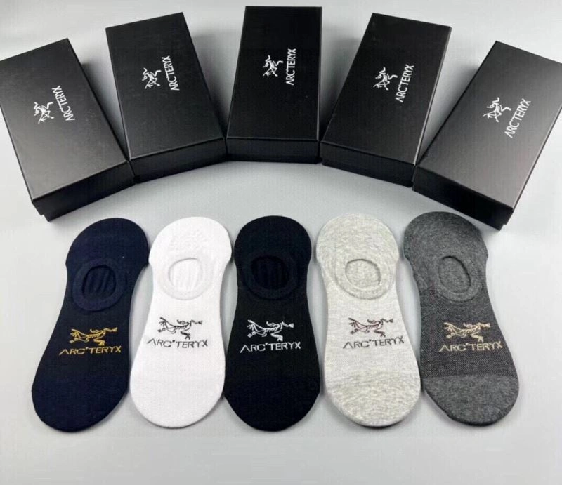 Accurate model Arcteryx Socks