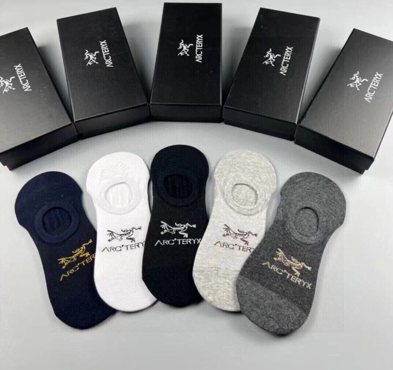 Accurate model Arcteryx Socks