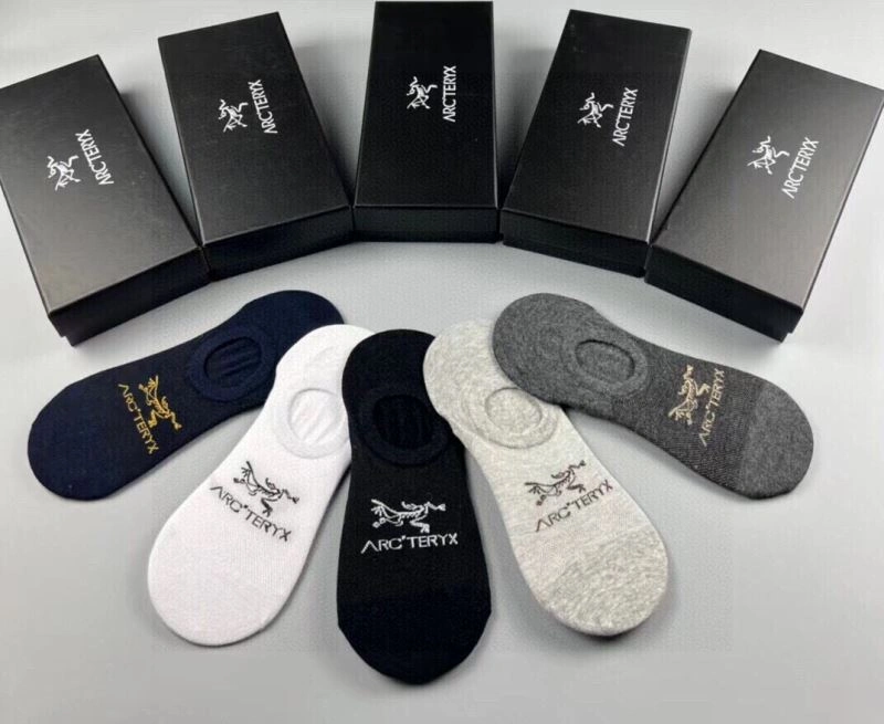 Accurate model Arcteryx Socks