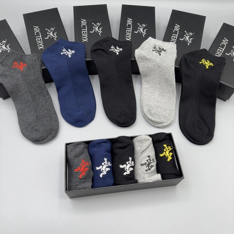 Accurate model Arcteryx Socks