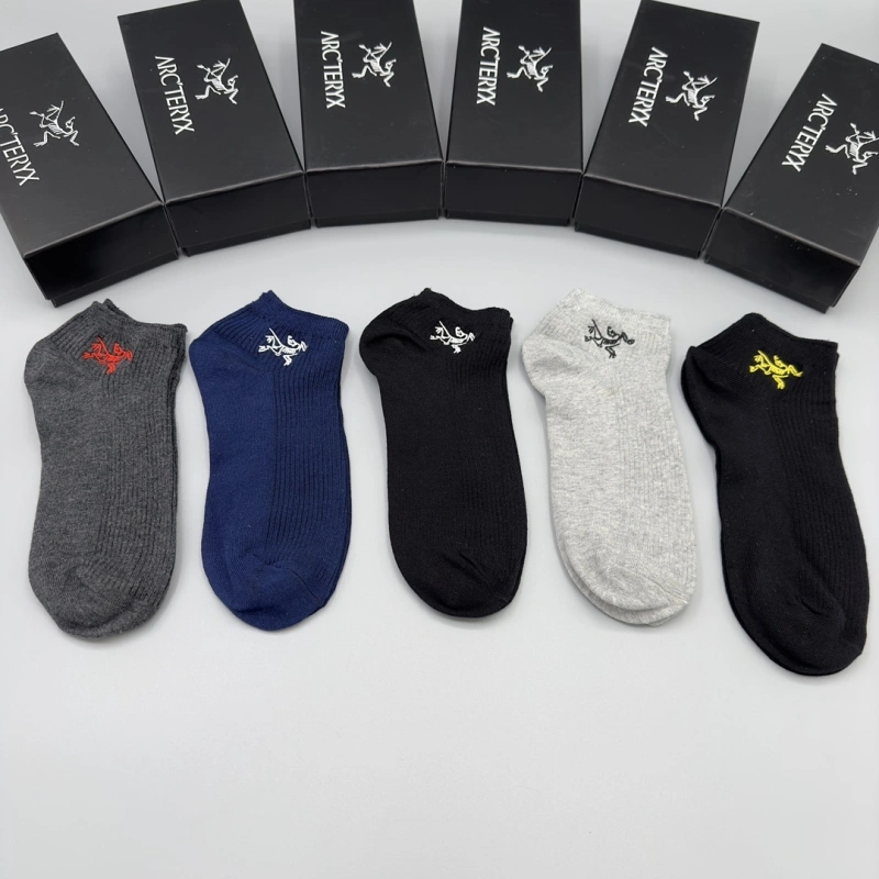 Accurate model Arcteryx Socks