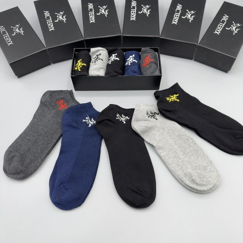 Accurate model Arcteryx Socks