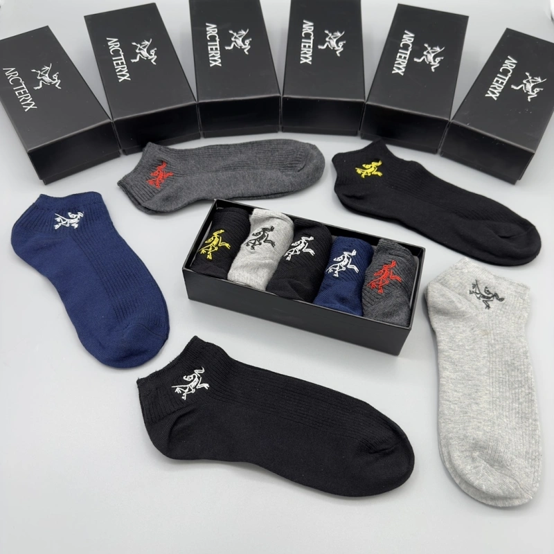 Accurate model Arcteryx Socks