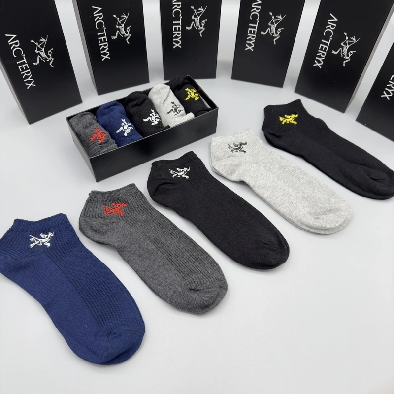 Accurate model Arcteryx Socks