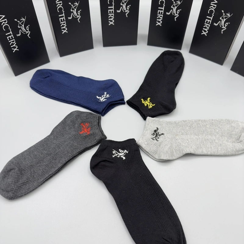 Accurate model Arcteryx Socks