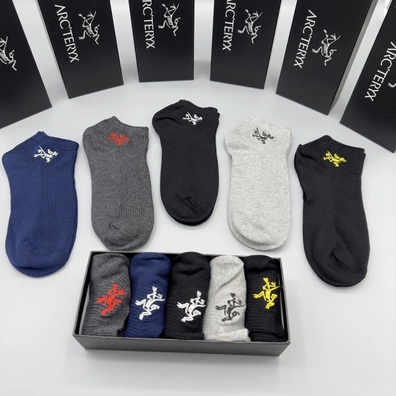 Accurate model Arcteryx Socks
