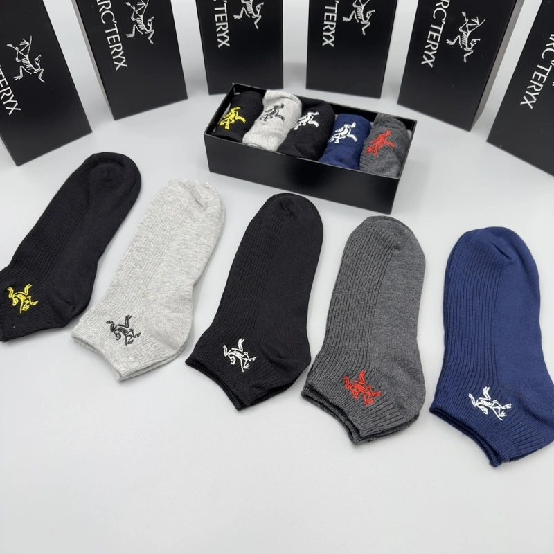 Accurate model Arcteryx Socks