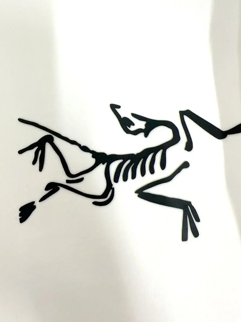 OEM Arcteryx T-Shirts