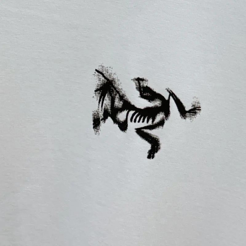 Indistinguishable Arcteryx T-Shirts