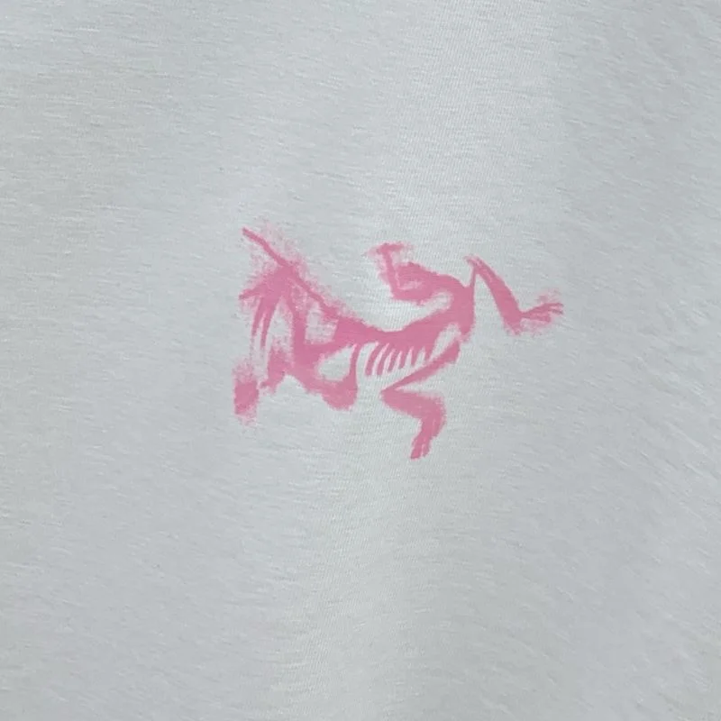 Indistinguishable Arcteryx T-Shirts
