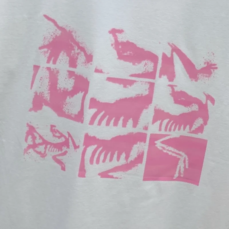 Indistinguishable Arcteryx T-Shirts