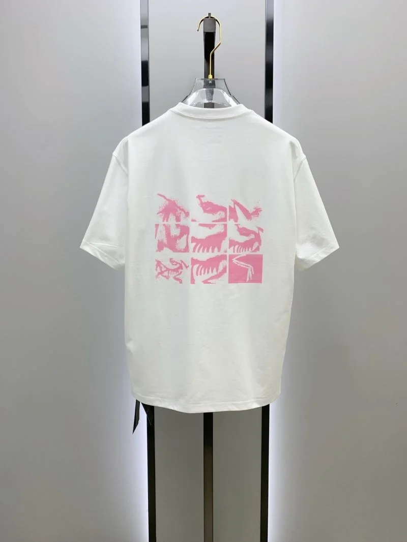 Indistinguishable Arcteryx T-Shirts