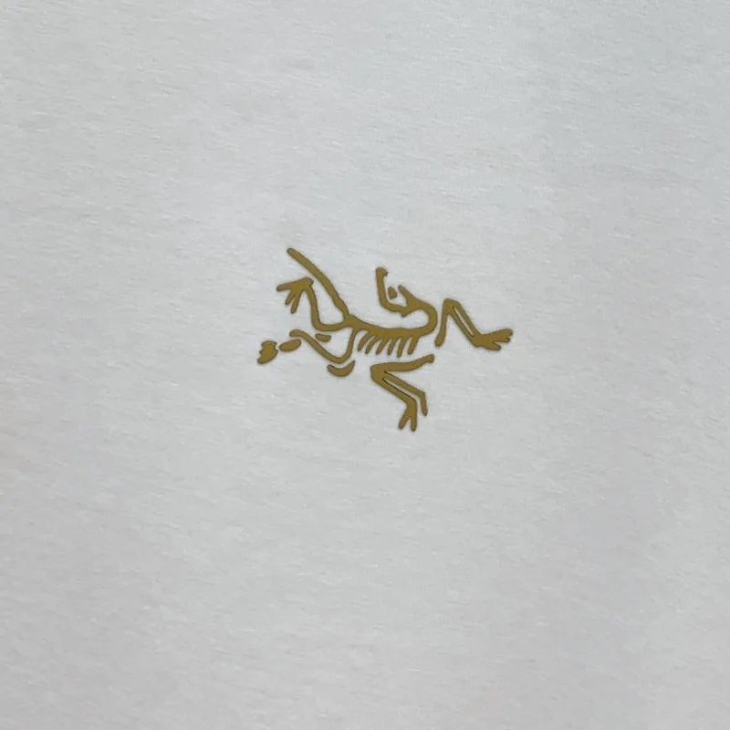 High fidelity Arcteryx T-Shirts