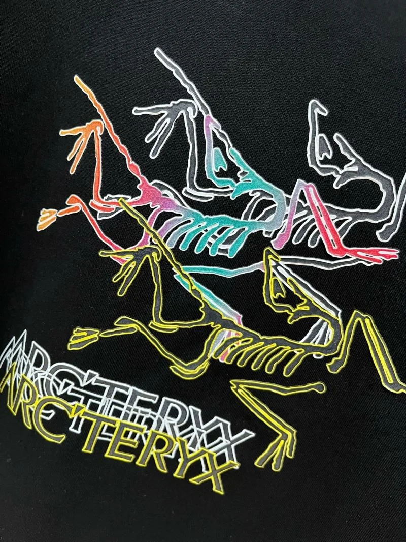 Exact replica Arcteryx T-Shirts