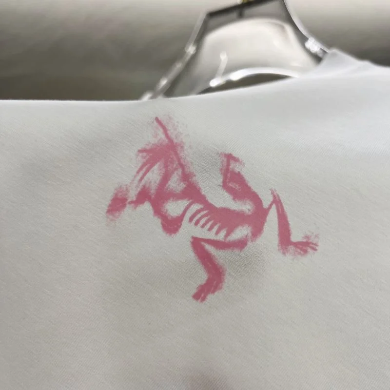 Reasonably priced Arcteryx T-Shirts