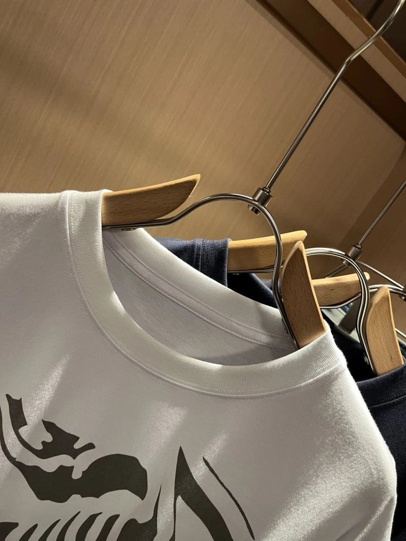 Accurate model Arcteryx T-Shirts