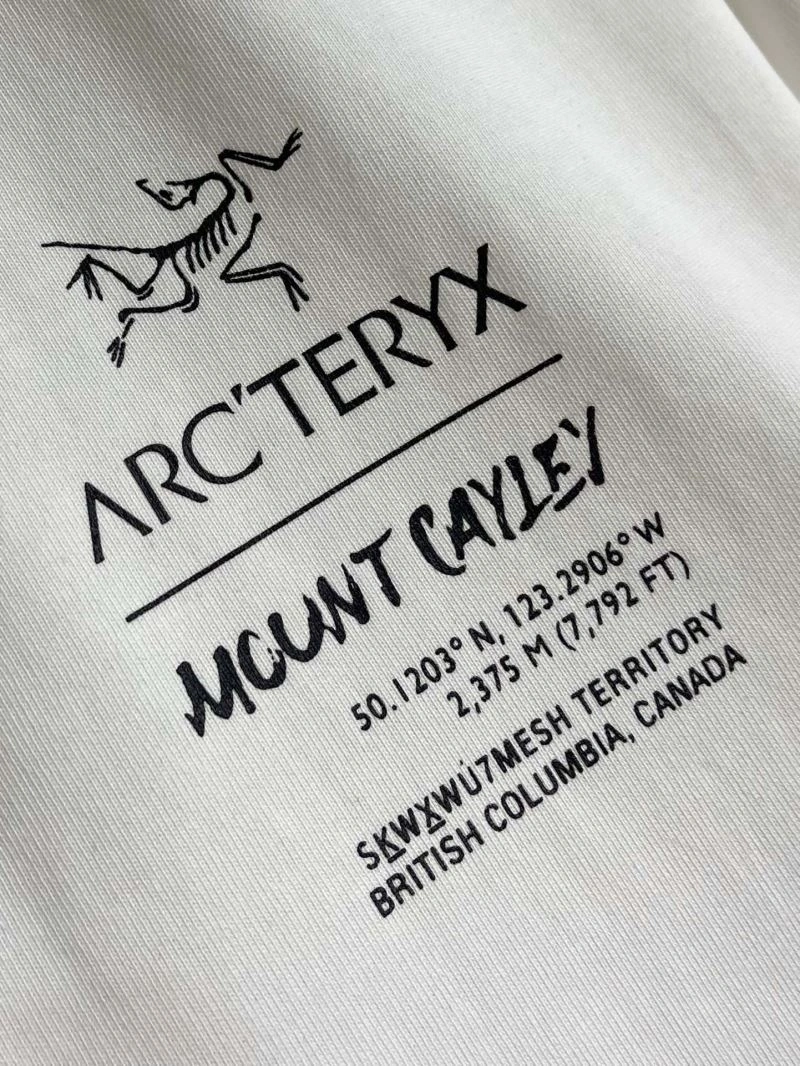 Exact replica Arcteryx T-Shirts