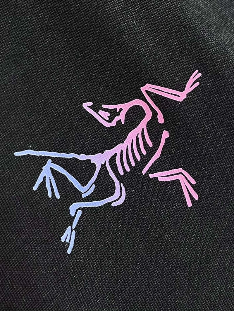 High accuracy Arcteryx T-Shirts