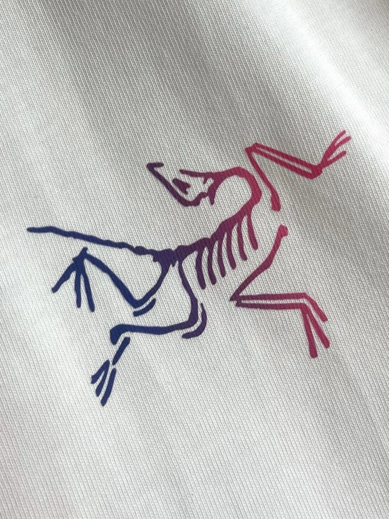 OEM Arcteryx T-Shirts