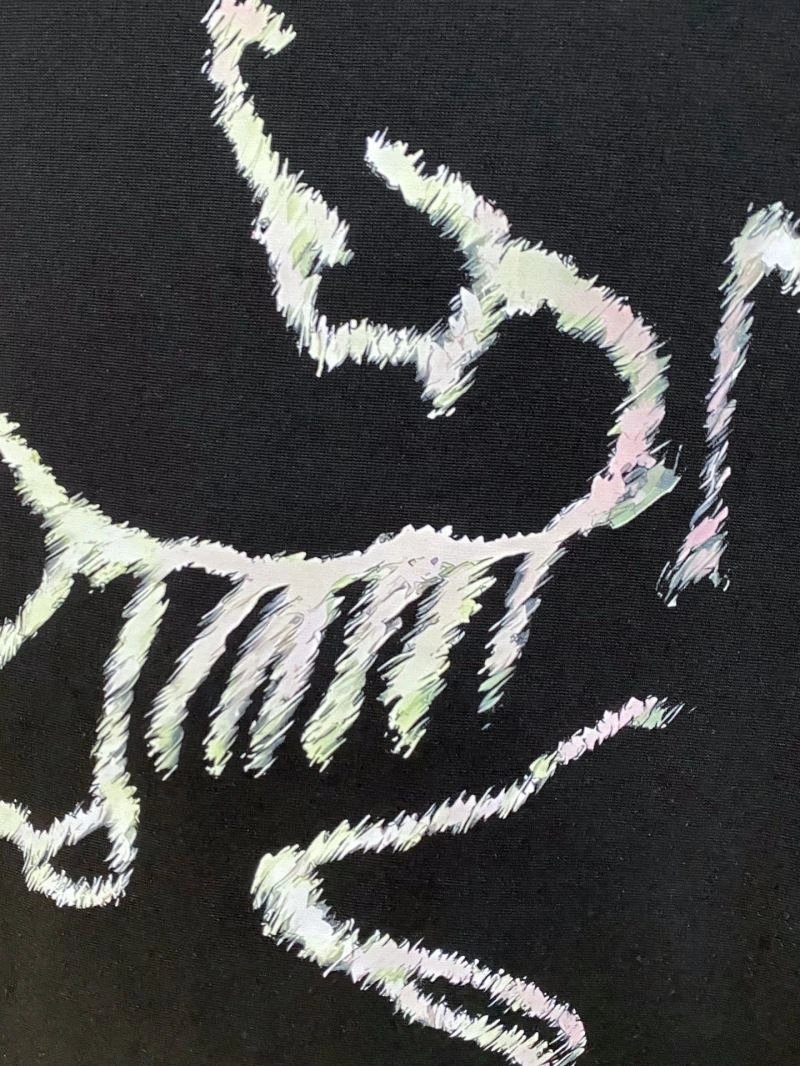 OEM Arcteryx T-Shirts