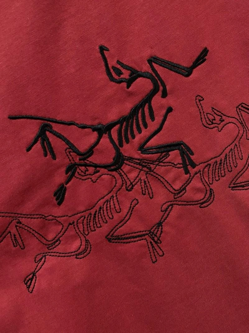 Indistinguishable Arcteryx T-Shirts