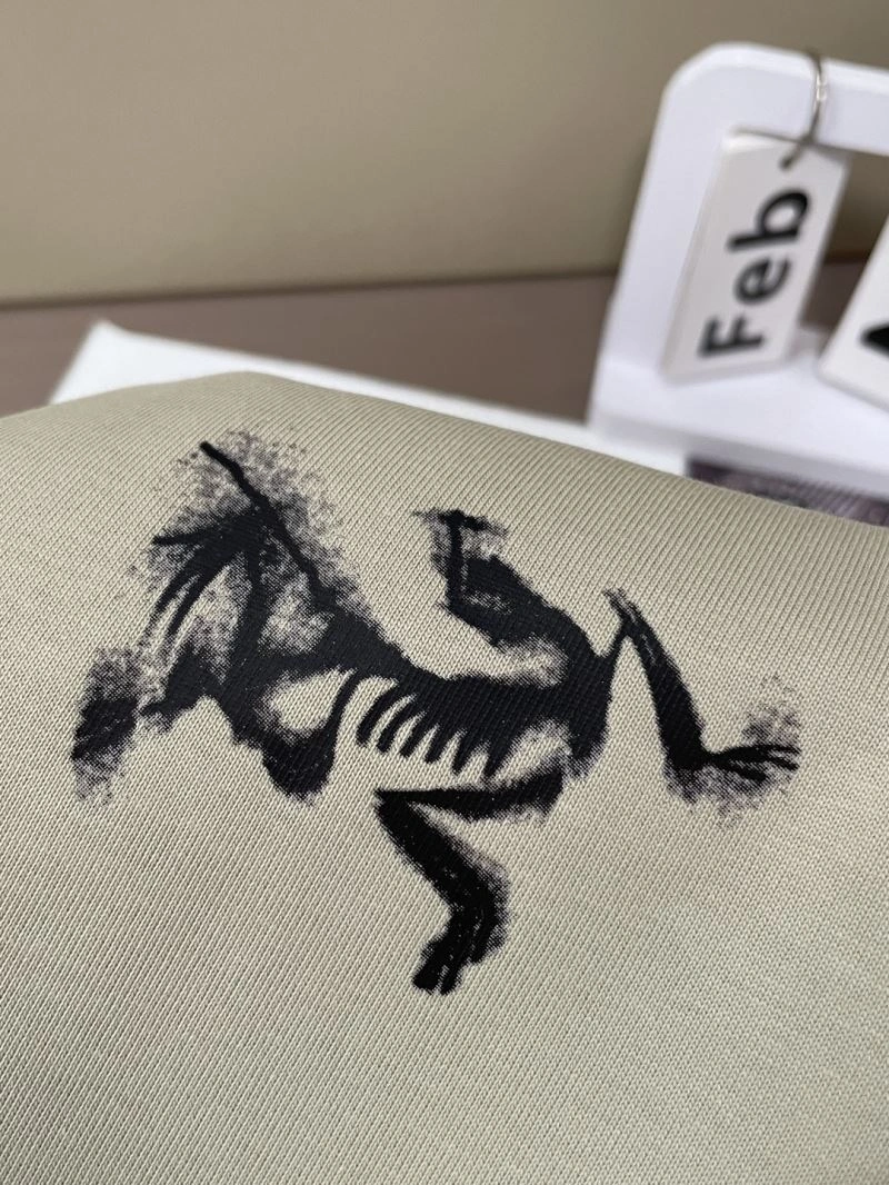 Mirror quality Arcteryx T-Shirts