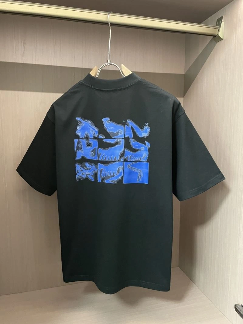 Affordable Arcteryx T-Shirts