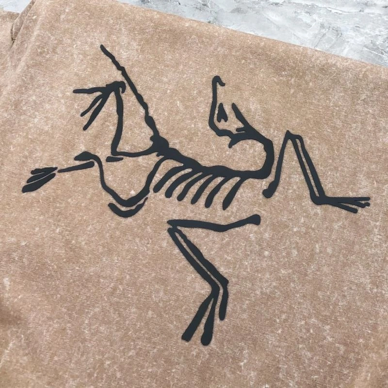 Cut-rate Arcteryx T-Shirts