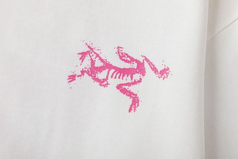 Precise copy Arcteryx T-Shirts