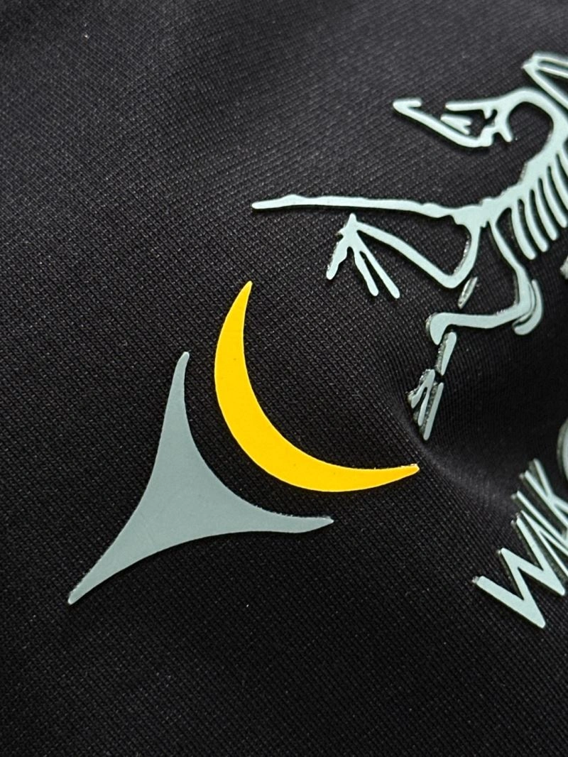 1:1 copy Arcteryx T-Shirts