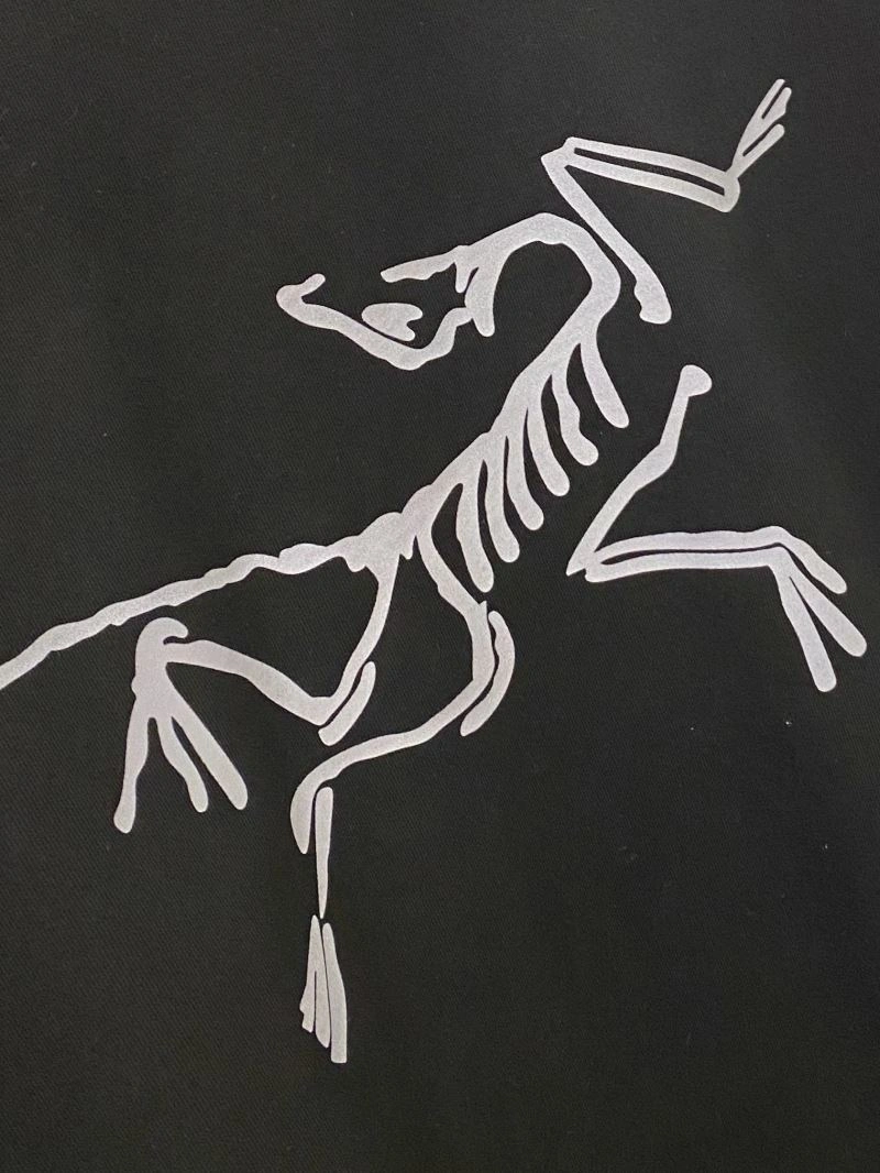 Reasonably priced Arcteryx T-Shirts