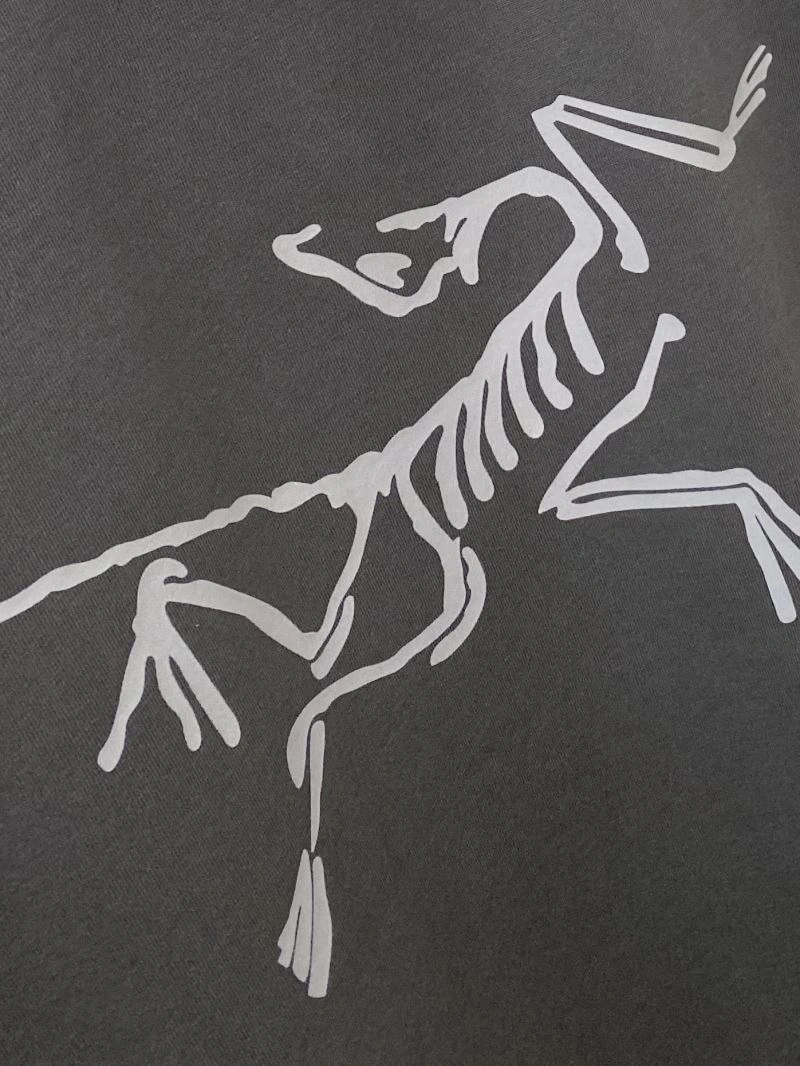 Perfect replica Arcteryx T-Shirts