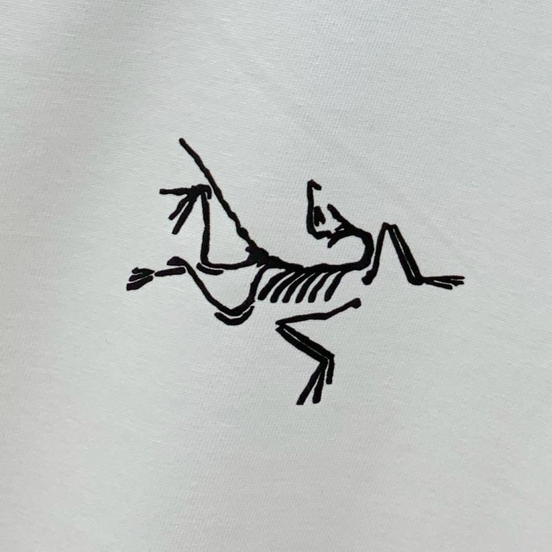 High fidelity Arcteryx T-Shirts