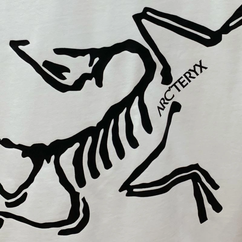High fidelity Arcteryx T-Shirts
