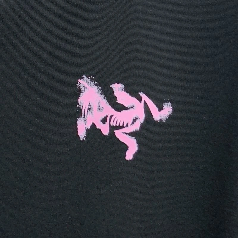 Exact replica Arcteryx T-Shirts