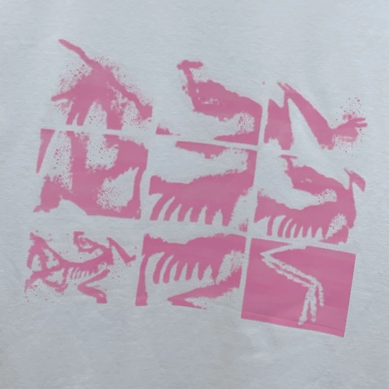 Official Arcteryx T-Shirts