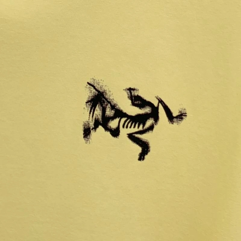 Real Arcteryx T-Shirts