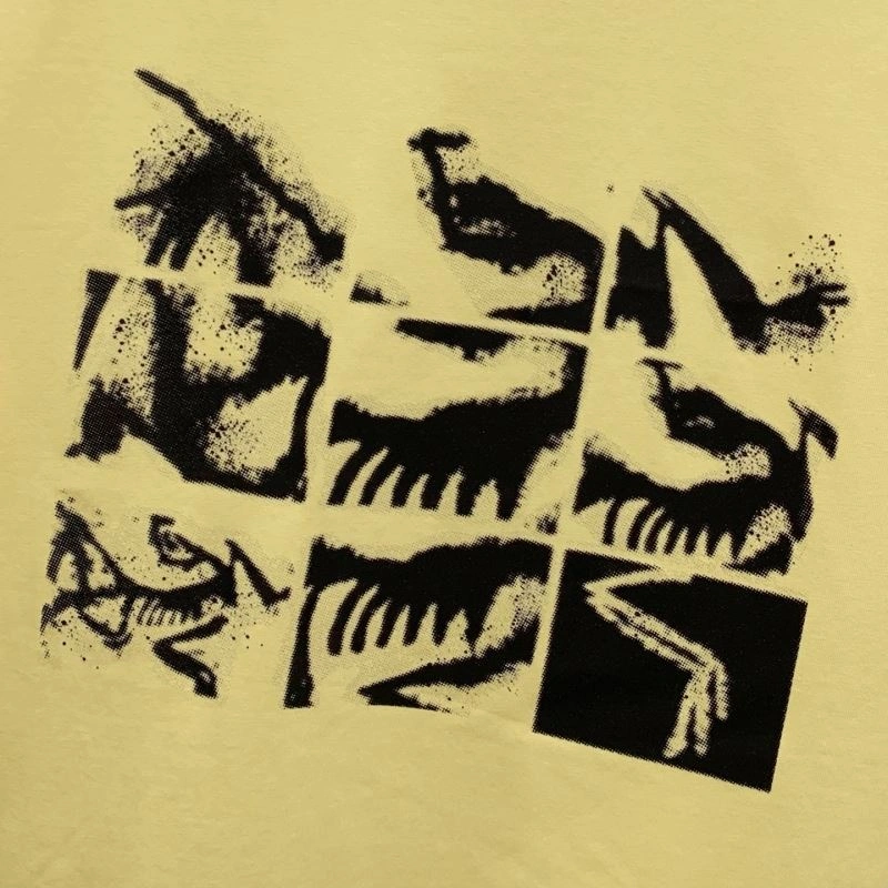 Real Arcteryx T-Shirts