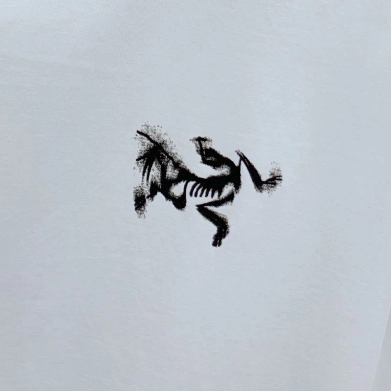 Inexpensive Arcteryx T-Shirts