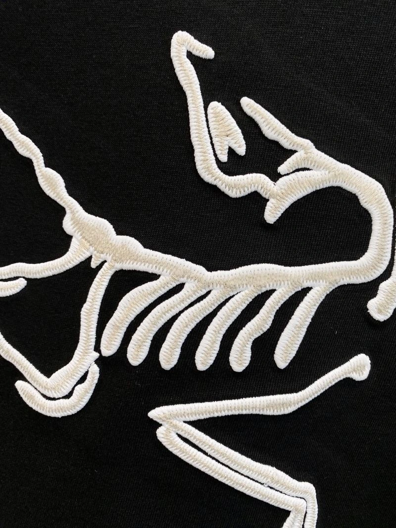 Reasonably priced Arcteryx T-Shirts