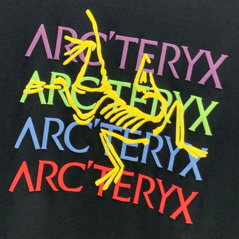 Indistinguishable Arcteryx T-Shirts