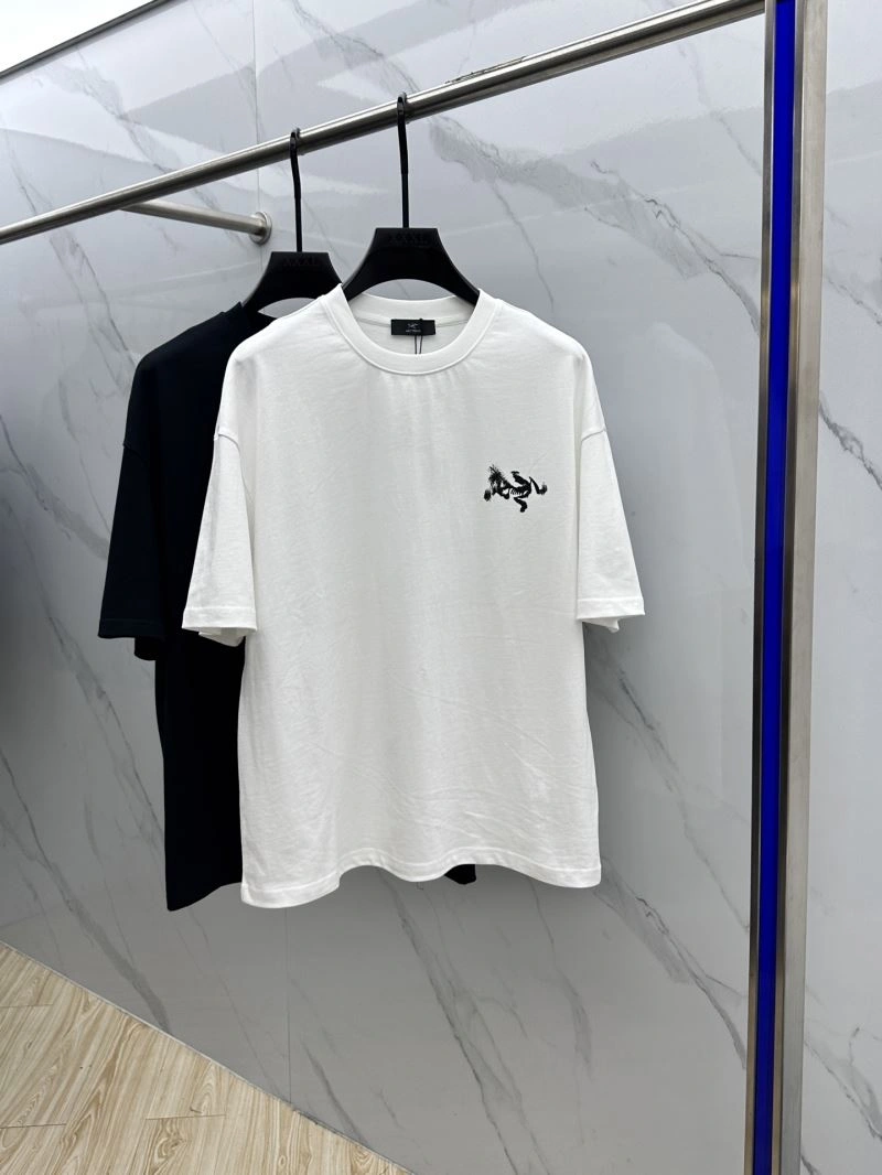 Arcteryx T-Shirts