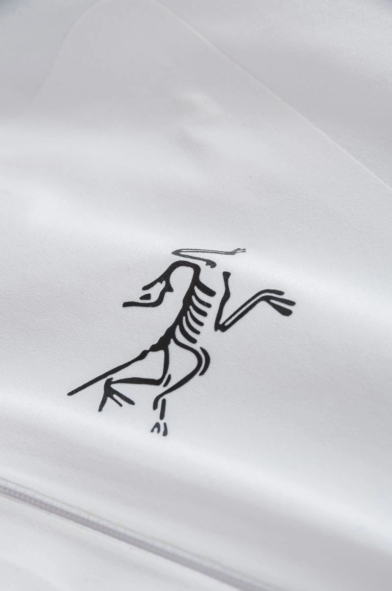 Exact replica Arcteryx T-Shirts