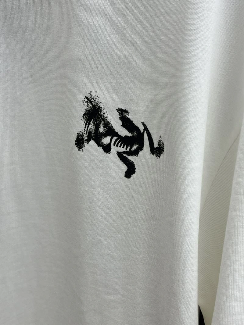 Legit Arcteryx T-Shirts