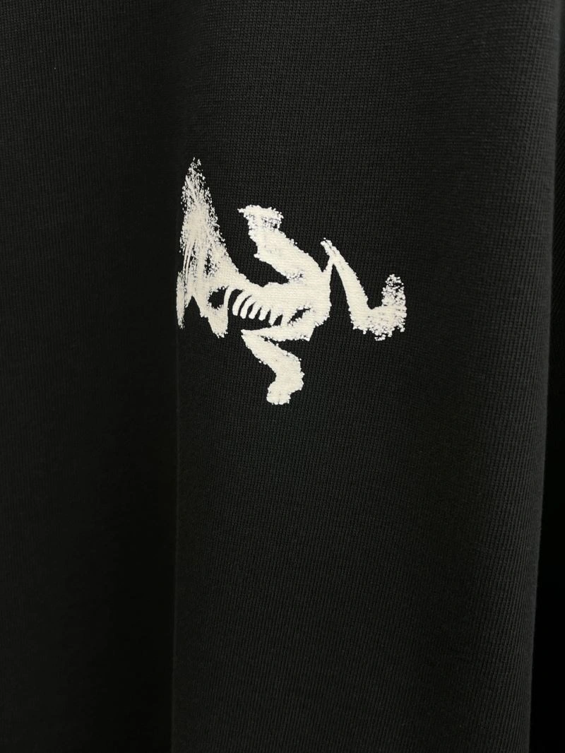 Real Arcteryx T-Shirts
