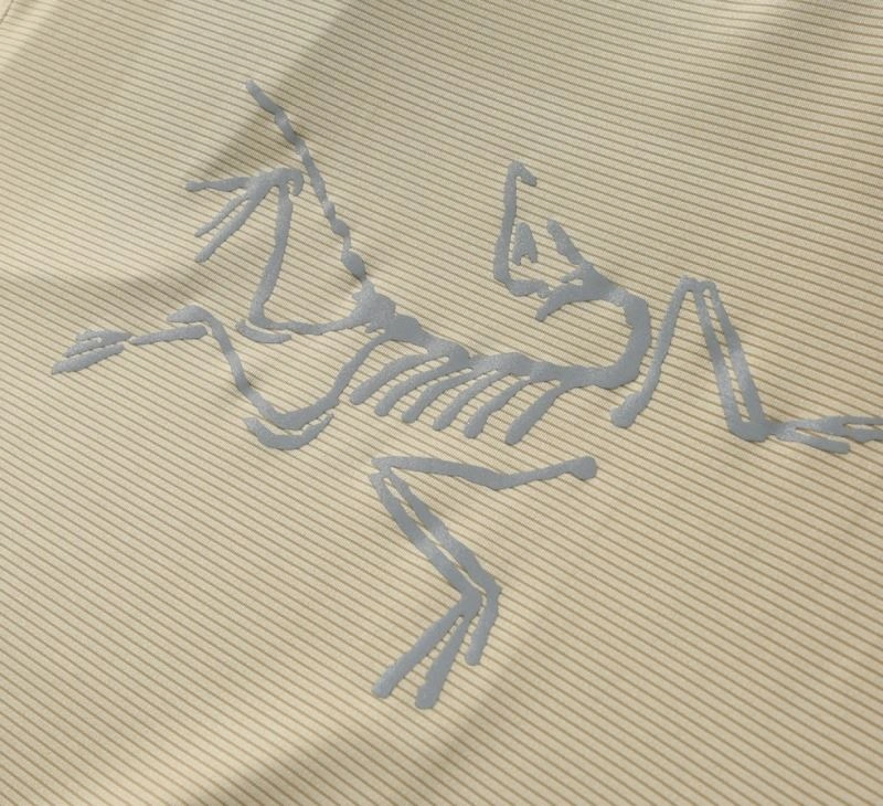 Reasonably priced Arcteryx T-Shirts