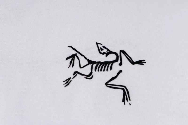 Inexpensive Arcteryx T-Shirts