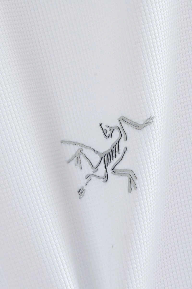 Reasonably priced Arcteryx T-Shirts
